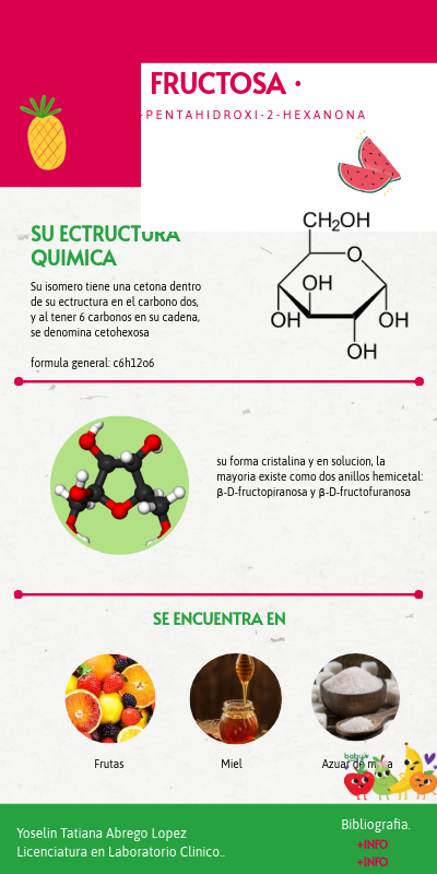 INFOGRAFIA FRUCTOSA
