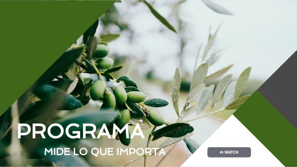 S.2 - Programa MLI Alianza Team | Genially