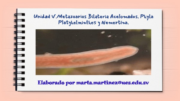 Unidad V. Platelmintos y Nemertinos. | Genially