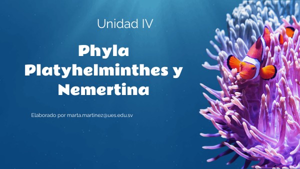 Phyla Platyhelminthes y Nemertina
