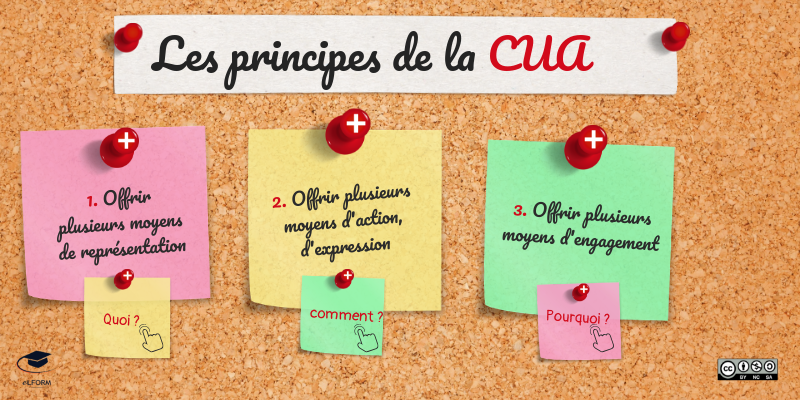 Principes de la CUA | Genially