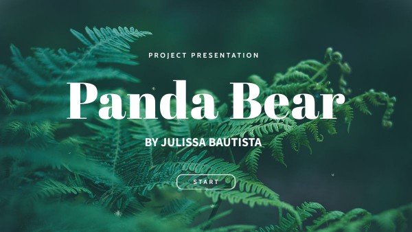 PANDA BEAR | Genially