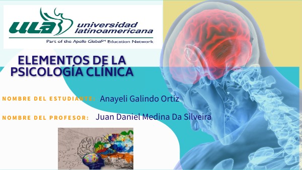 ELEMENTOS DE LA PSICOLOGÍA CLÍNICA. Anayeli Galindo
