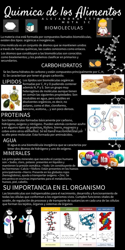 Infografia ''Quimica en los alimentos'', Alejandra Estrada Mota 5 C ...