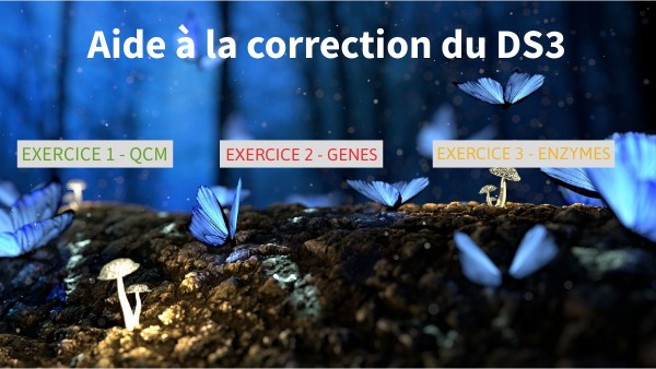 Aide à la correction du DS3