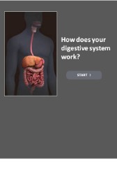 Digestive system