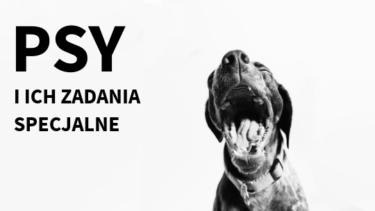 Psy i ich zadania specjalne | Genially