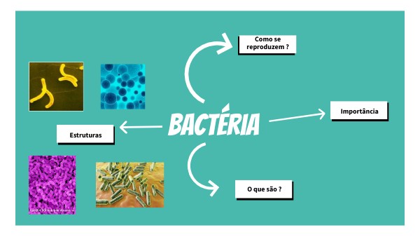 Mapa conceitual sobre bactéria | Genially