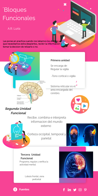 Bloques de Luria | Genially