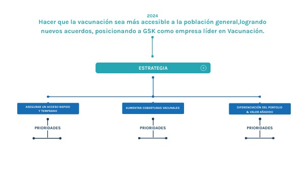 MAPA CONCEPTUAL CAJAS