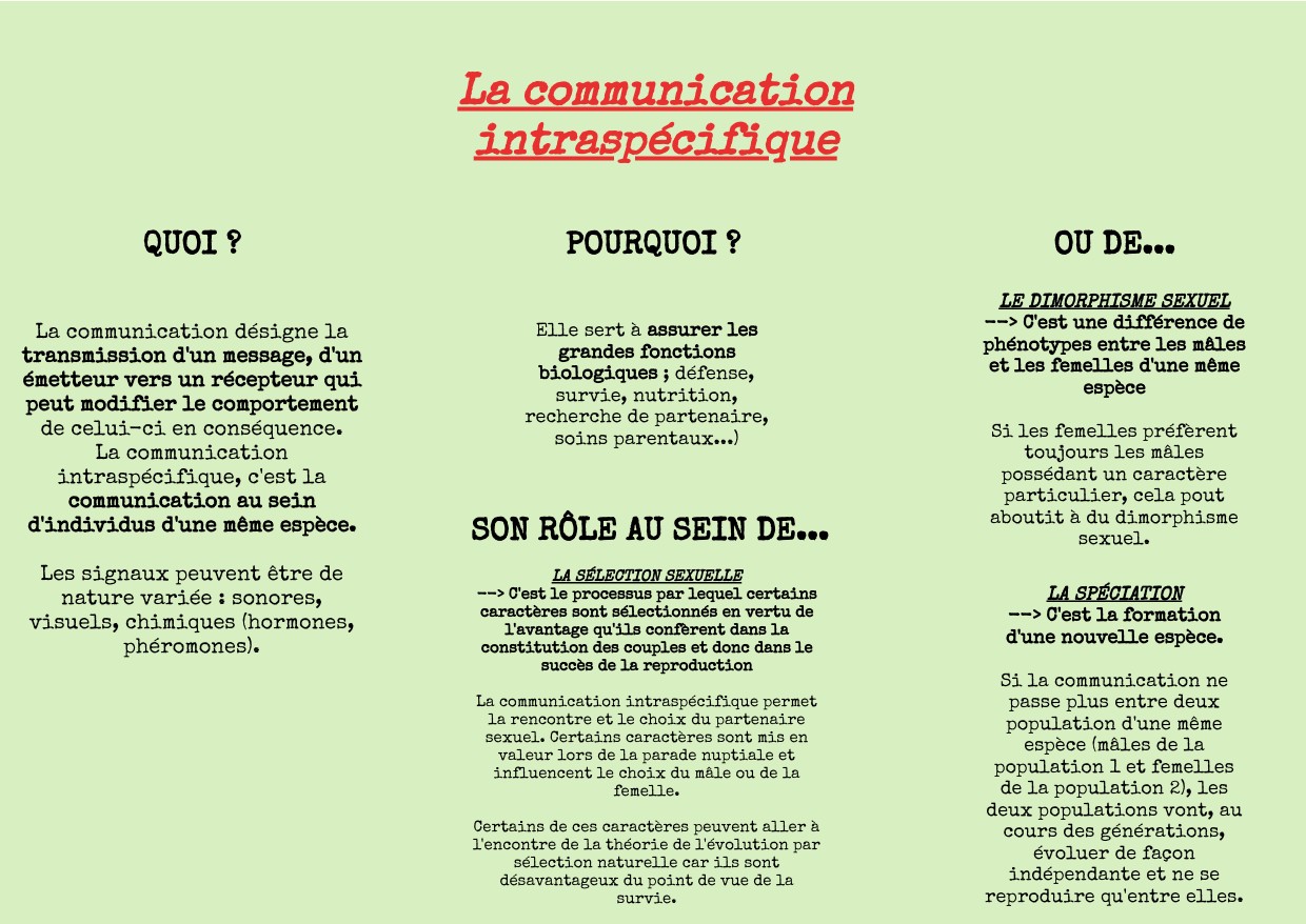 SVT - Communica° intraspécifique et sélec° sexuelle | Genially