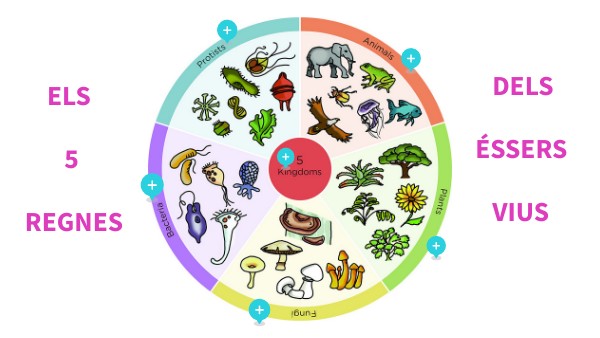 ELS 5 REGNES | Genially