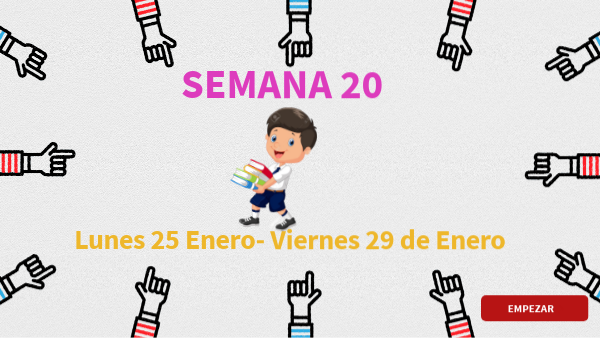 SEMANA 20