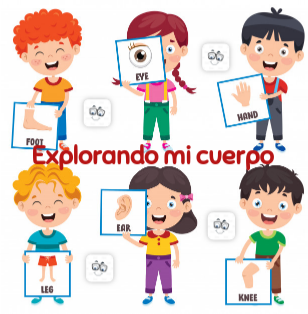 Explorando mi cuerpo