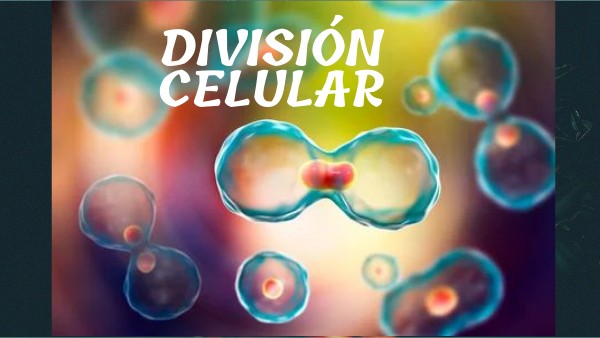 DIVISIÓN CELULAR | Genially