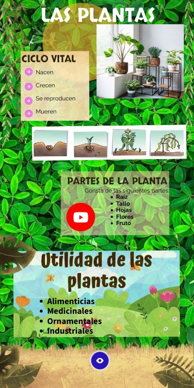 INFOGRAFIA LAS PLANTAS
