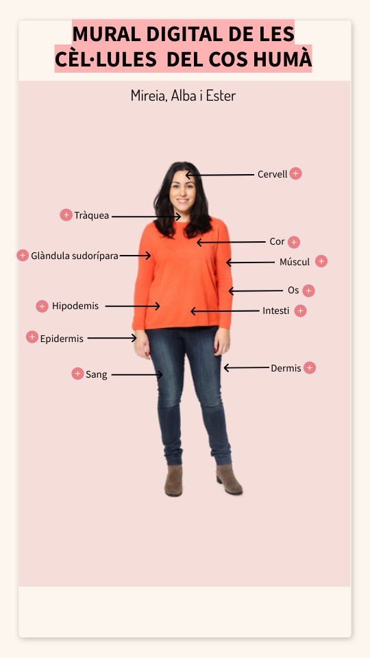 BOHO MICROSITE MOBILE