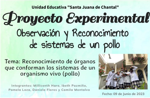 Proyecto experimental