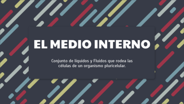 Medio Interno - B2
