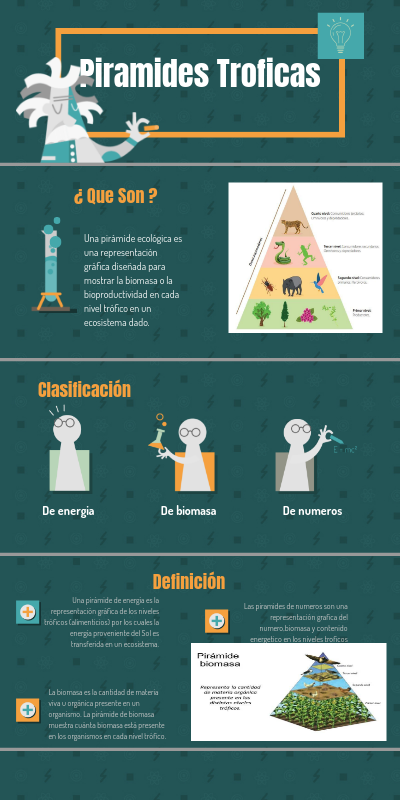 Pirámides Tróficas | Genially