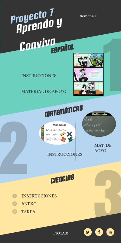 PROYECTO 7 SEMANA 2