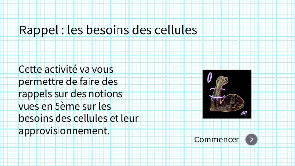 rappel : les besoins de la cellule | Genially