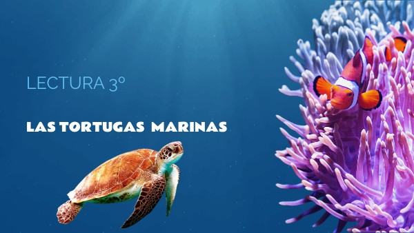 TORTUGAS MARINAS | Genially