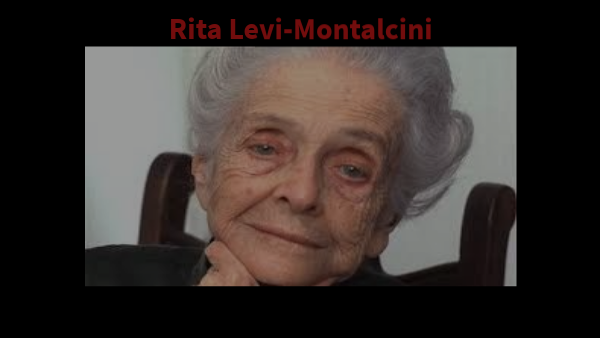 Rita Levi-Montalcini | Genially
