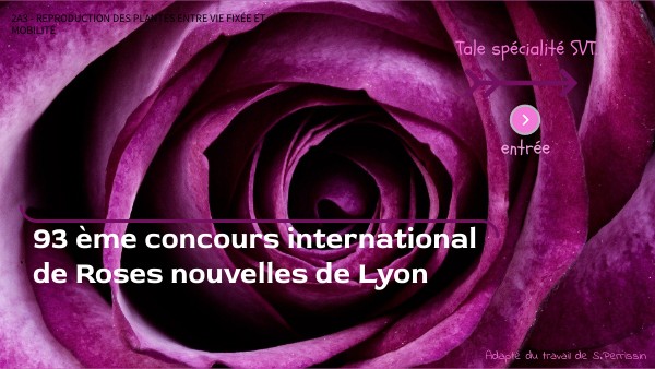 Tspé SVT 2A3 : Concours de Rose | Genially