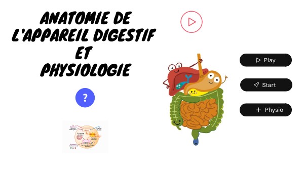 Présentation Appareil digestif