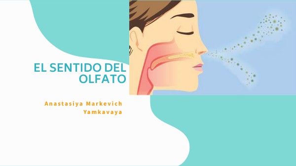 olfato