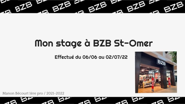 TP 2 Analyse de l'entreprise BZB et des produits proposés | Genially