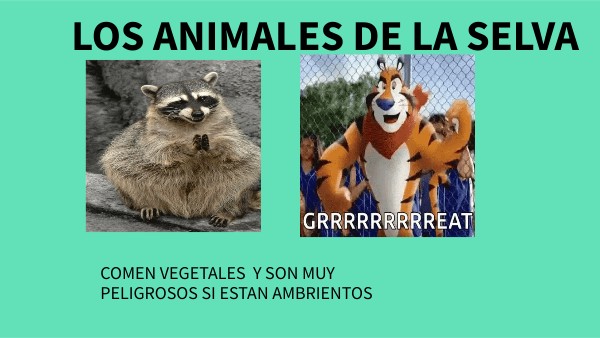 LOS ANIMALES DE LA SELVA | Genially