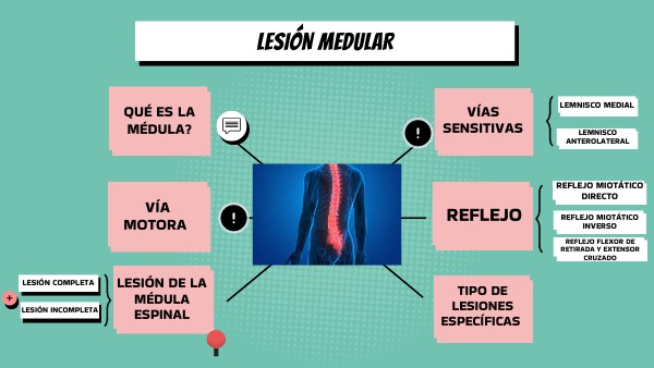 Lesion Medular | Genially