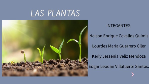 PRESENTACIÓN LAS PLANTAS | Genially
