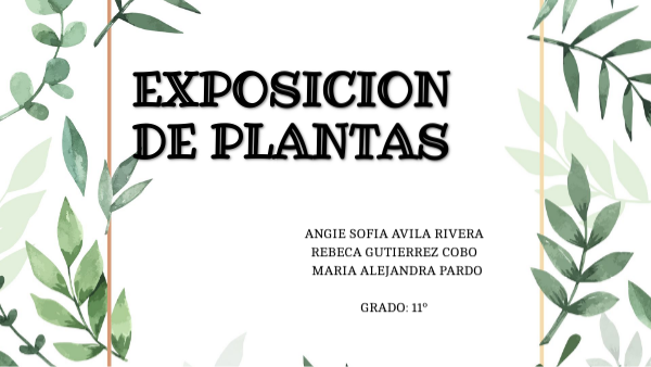 EXPOSICIÓN DE PLANTAS | Genially