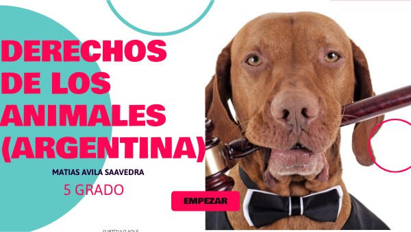 PRESENTACIÓN LA DERECHO DE LOS ANIMALES