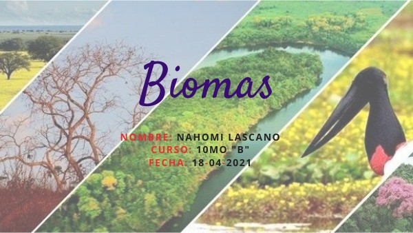 30-BIOMAS | Genially