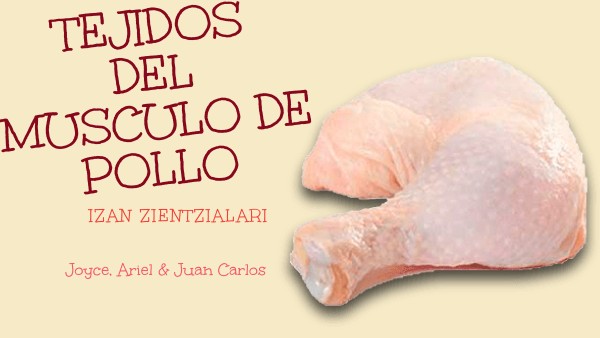 musculo de pollo