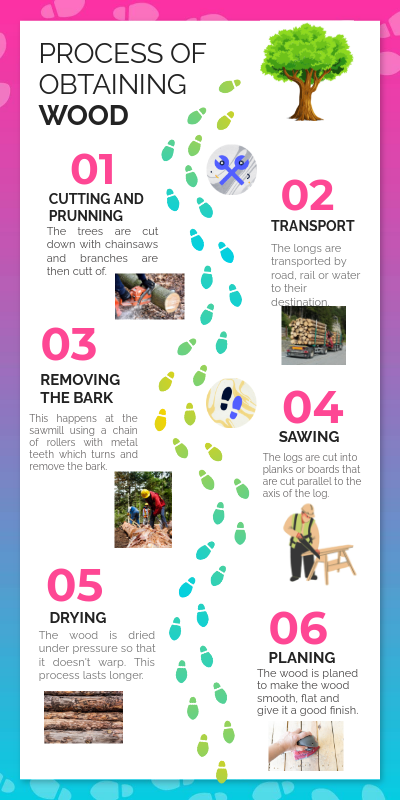 Process of obtaining wood