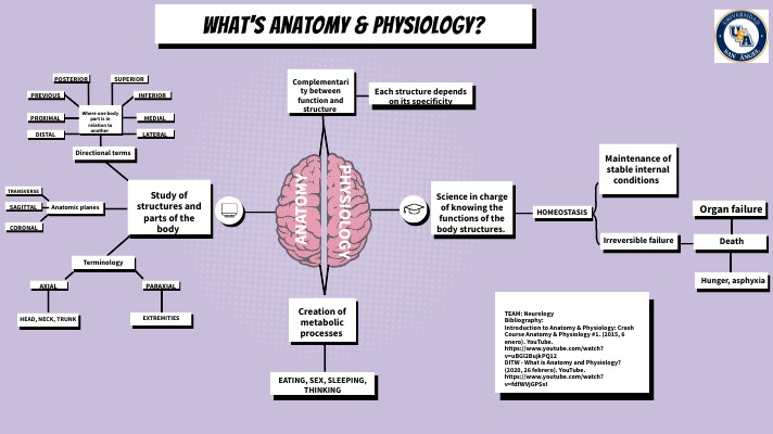 What's Anatomy & Physiology?