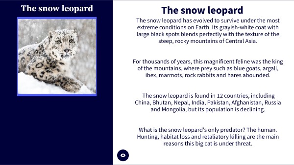the winter leopard | Genially