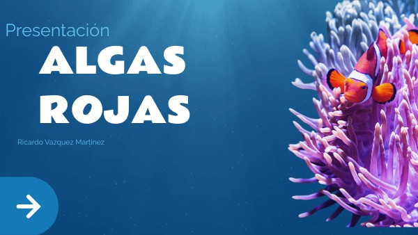 Algas rojas | Genially