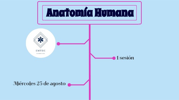 Anatomía Humana | Genially