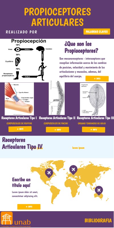 PROPIOCEPTORES ARTICULARES