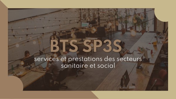 présentation BTS sp3s