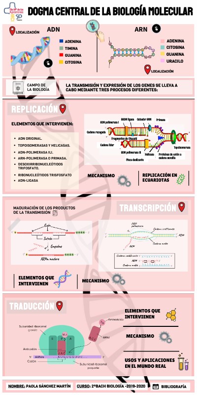 Genially sin títuloDogma central de la biología molecular | Genially