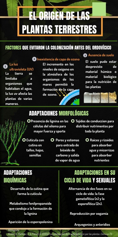 oRIGEN DE LAS PLANTAS TERRESTRES | Genially