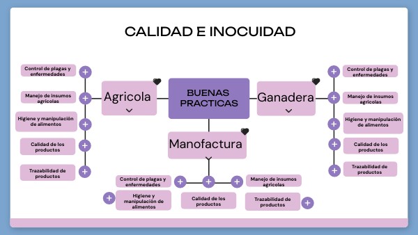 CALIDAD E INOCUIDAD DE LOS ALIMENTOS | Genially