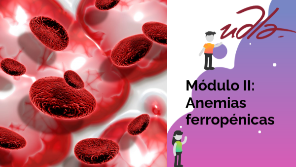 Módulo II: Anemias ferropénicas